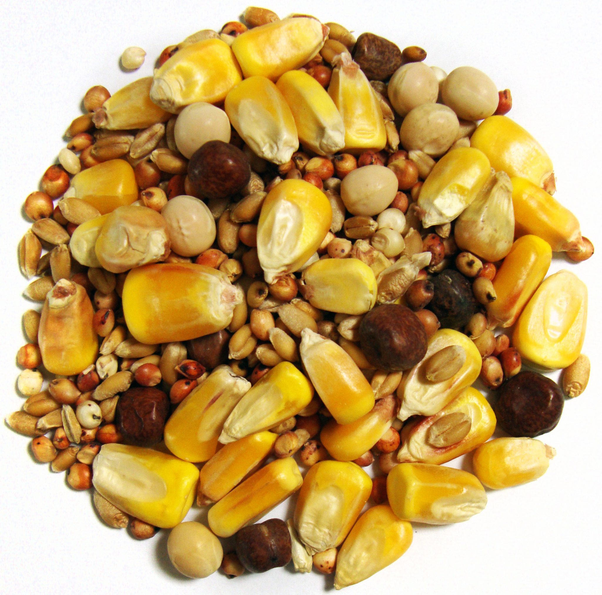 Brown's Pet Food | Budget-Friendly Small Corn Choices