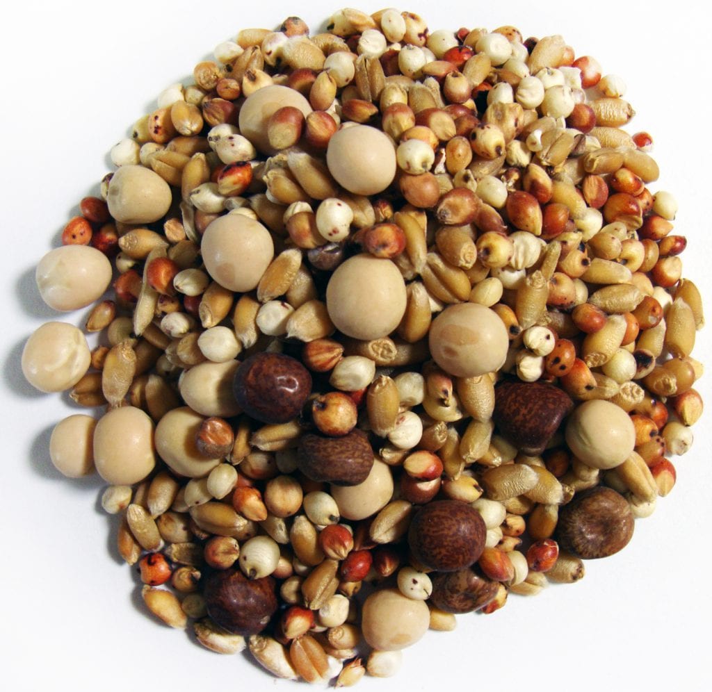 Brown's Pet Food | Breeder Popcorn: Ideal for Breeding Animals