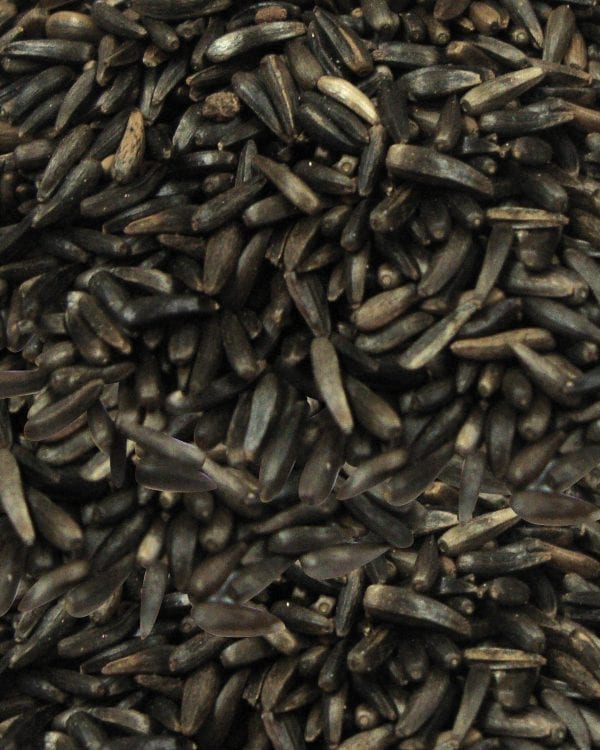 Brown's Pet Food | Nyjer (Thistle Seed) - Bird Food