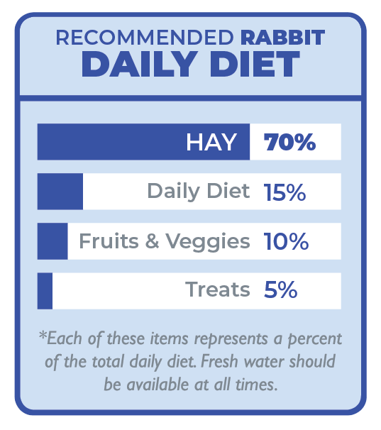 Brown's Pet Food | Comprehensive Rabbit Care for the Dedicated Pet Parent